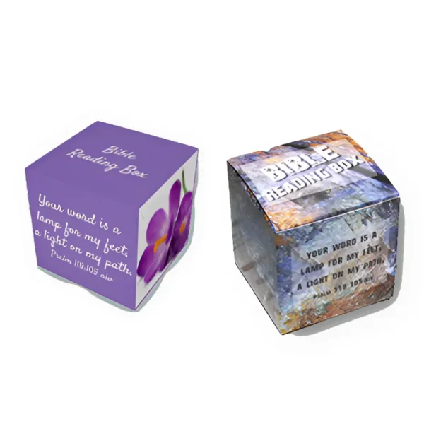Bible Reading Box - His Healing Light Ministries